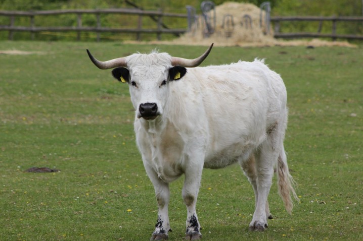 Tierpark Arche Warder | Reiselurch.de